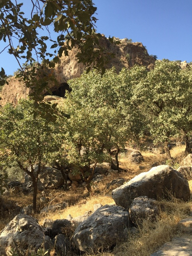 Fascinating Fieldwork and Excavation at Shanidar Cave, Iraqi Kurdistan
