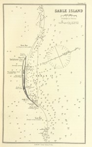 Shipwrecks and Sand dunes: A Brief History of Sable Island